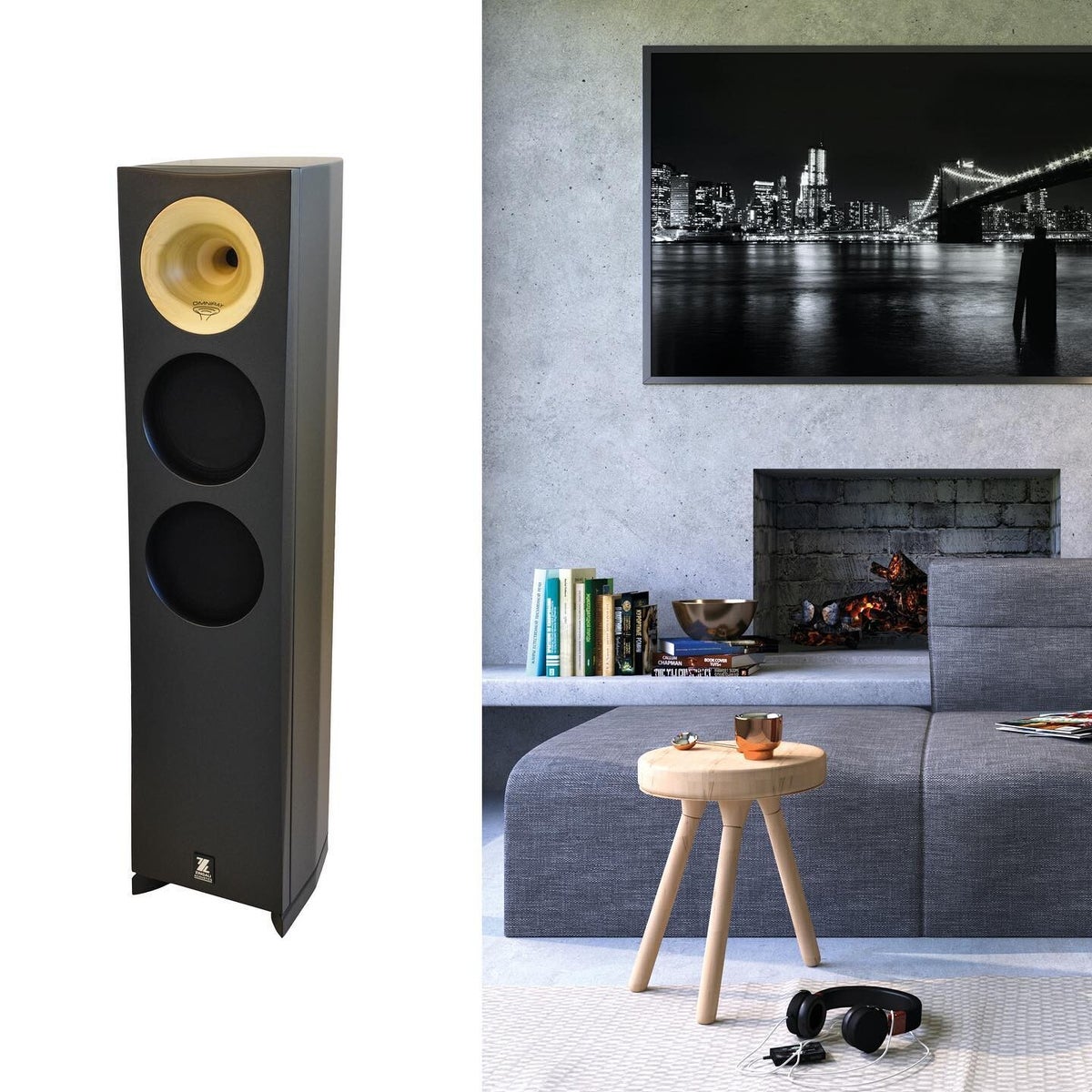 StereoWise: L.Speaker - ZINGALI Acoustics / StereoWise: Loudspeaker - Z ...