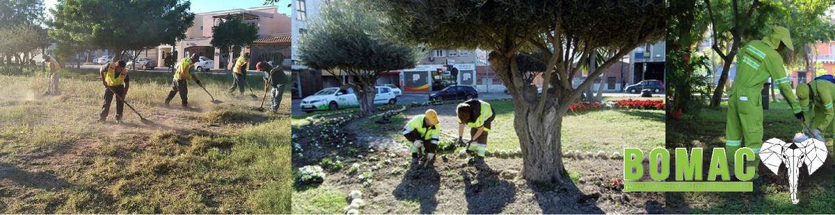 SERVICIOS | Bomac