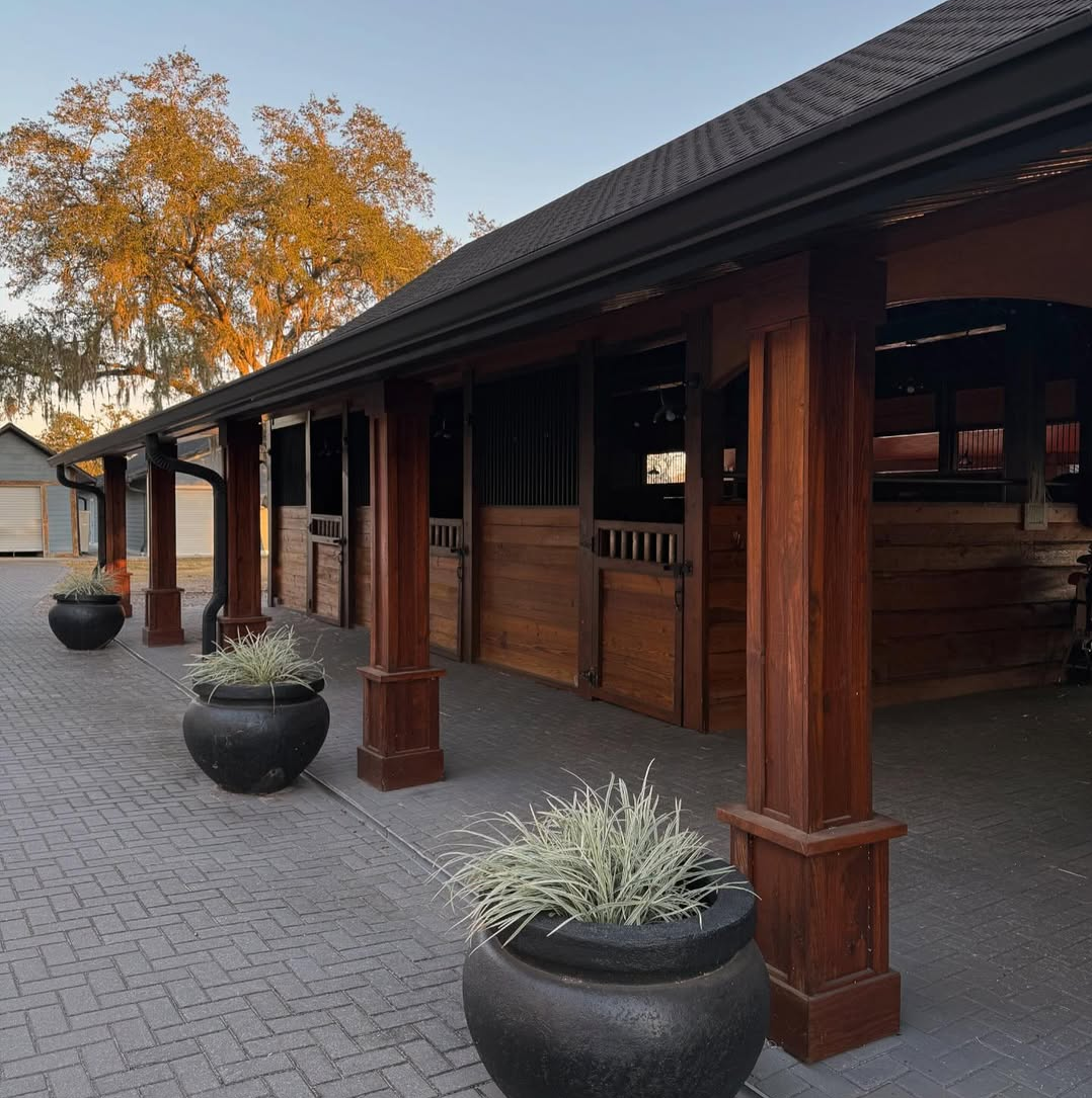 Gallery | Stable Harmony