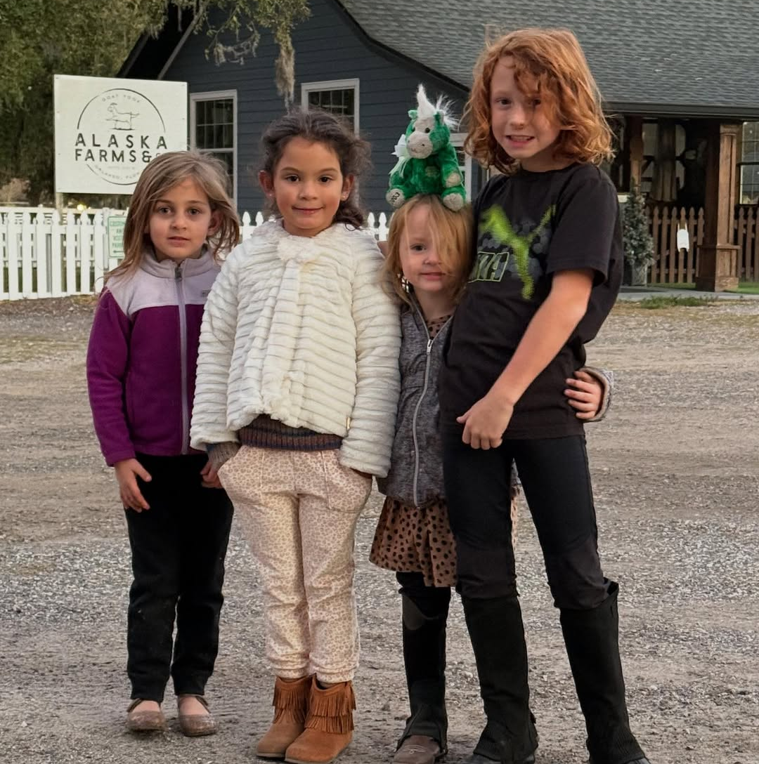 Gallery | Stable Harmony