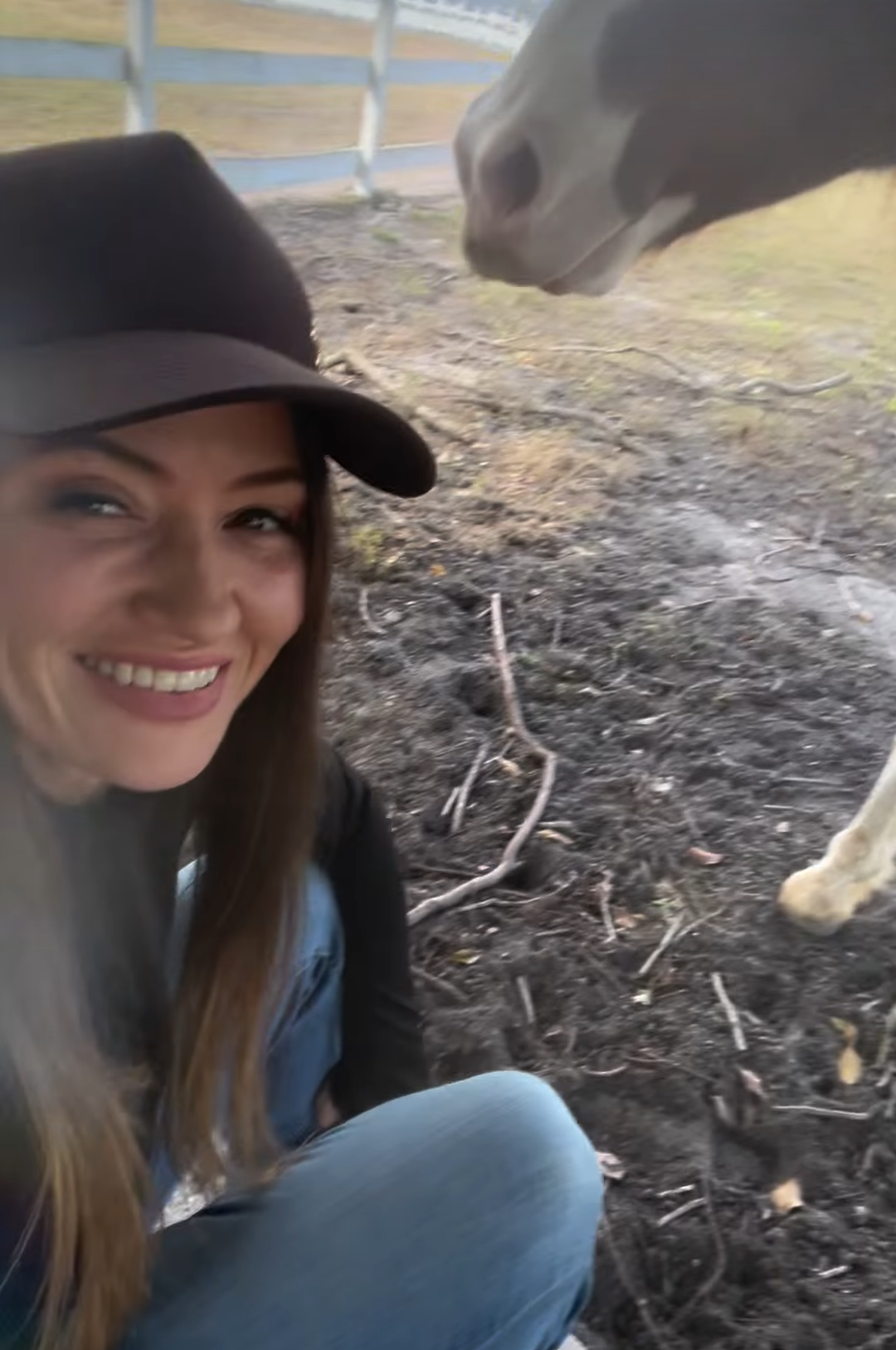 Gallery | Stable Harmony