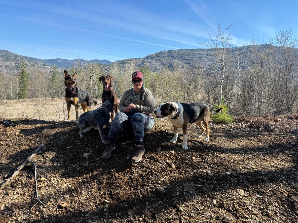 Wild Tails Adventures