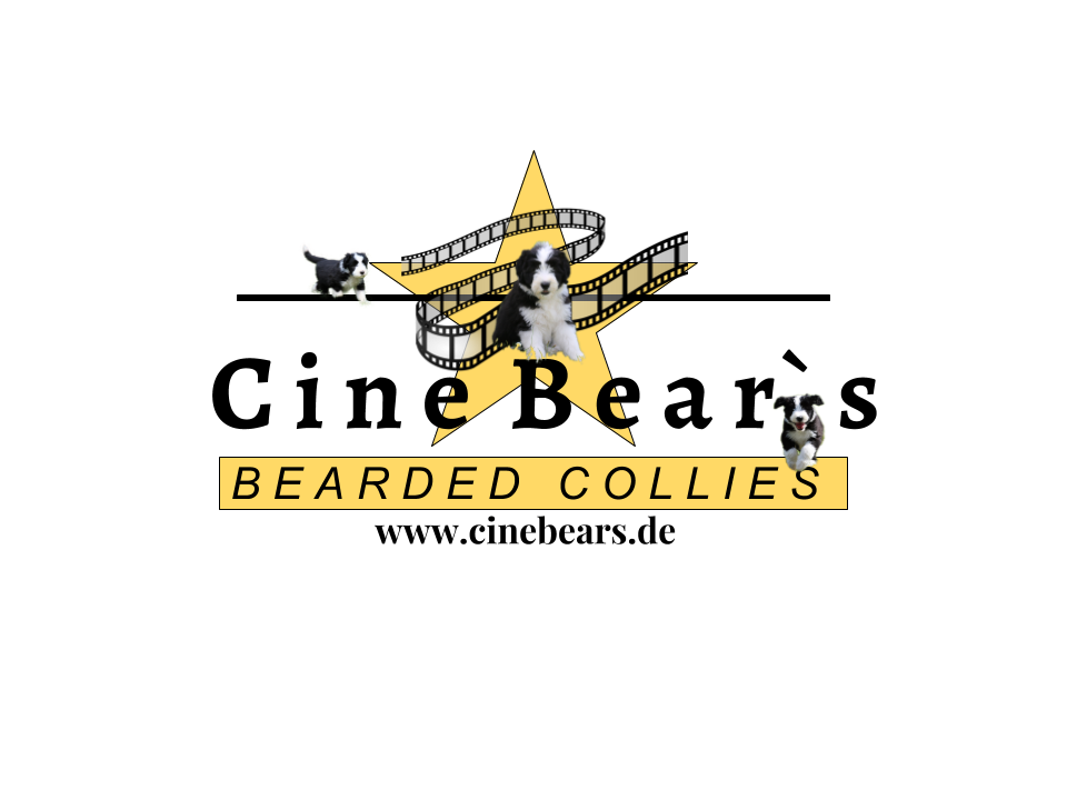 CineBears Bearded Collies aus dem Saarland / Rheinland Pfalz