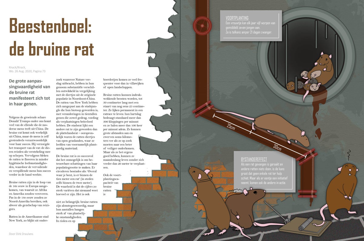 Infografiek / Vormgeving | kloenkklaar