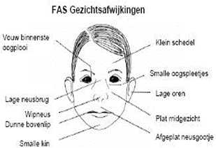 Ontwikkeling | Foetaal Alcohol Syndroom