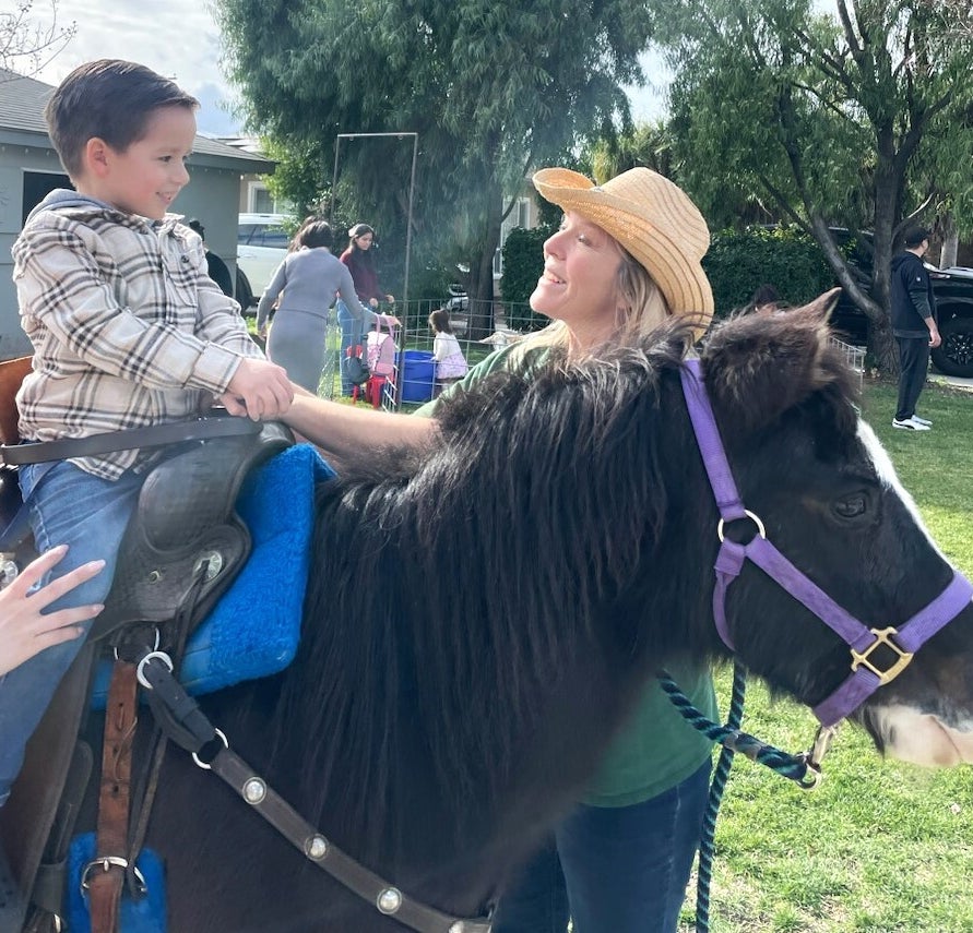 Home | Party Ponies and Pets