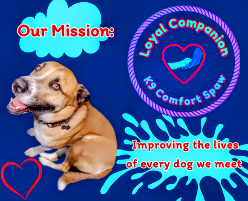 loyal companion k9 comfort spaw