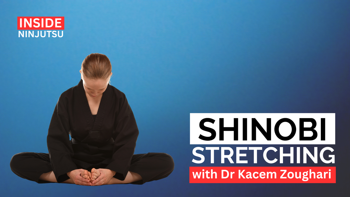 Shinobi Stretching / Articles | Inside Ninjutsu