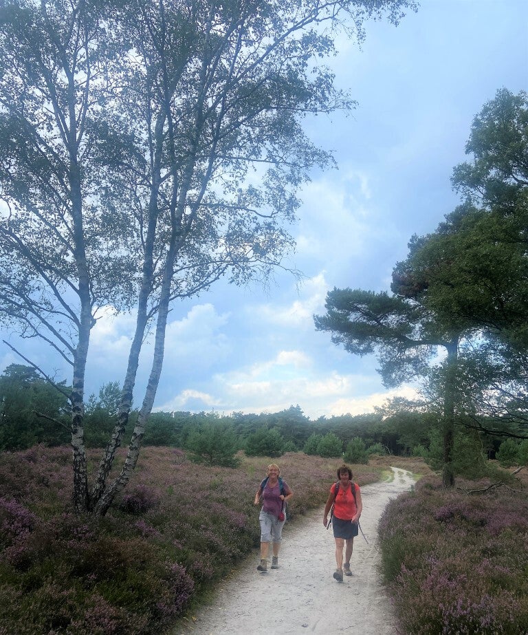 31/08/2023 Wildert-Heide / AUGUSTUS / Wandelingen 2023 / Wandelingen ...