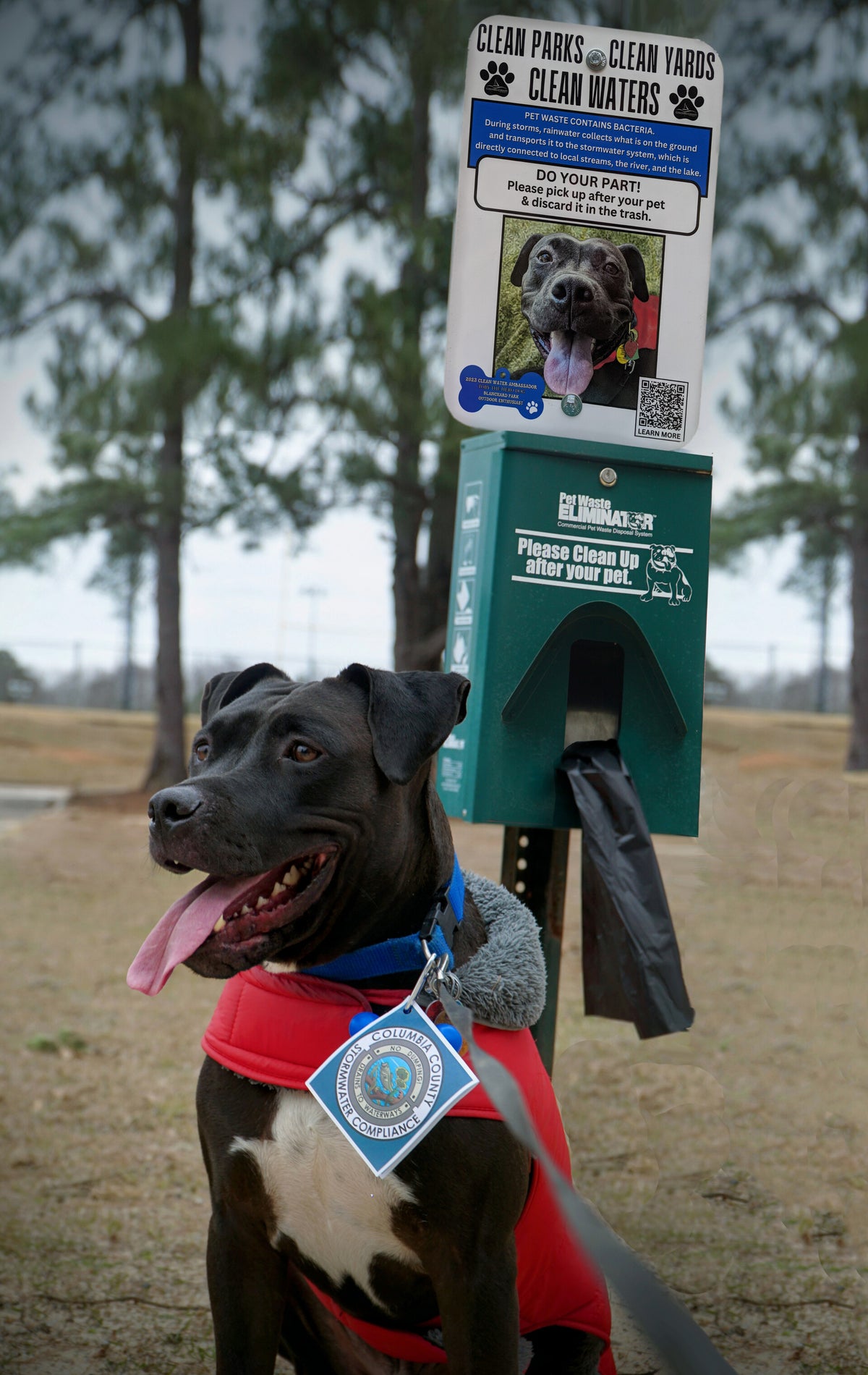 Toby The Hero Dog