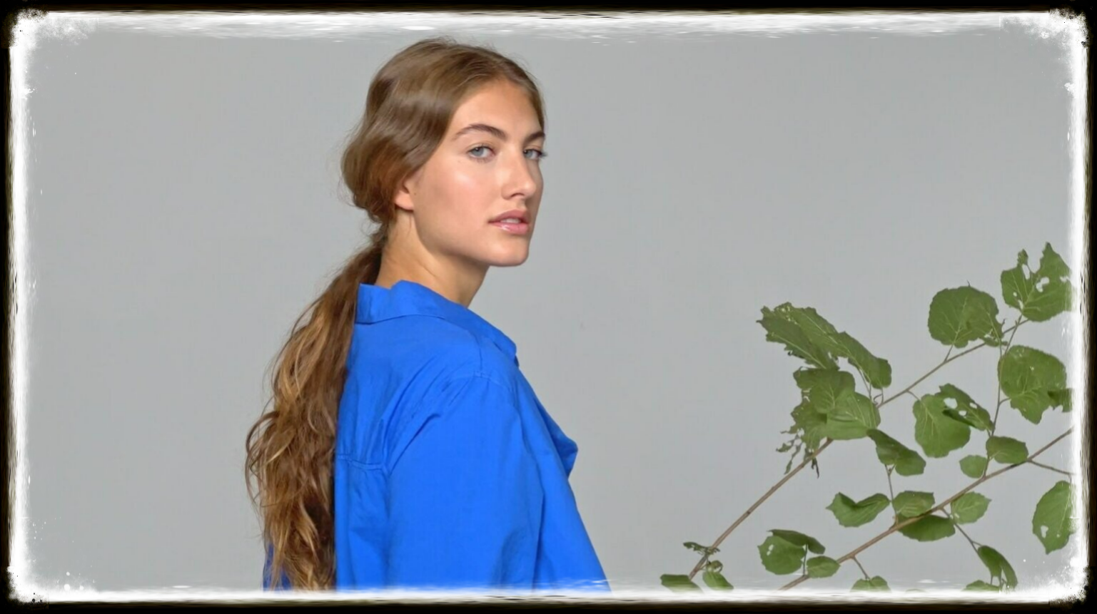 michelle mode + design