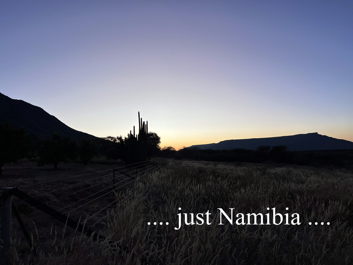 Timbila - Week 3 | Afrika 2023 - a journey to myself