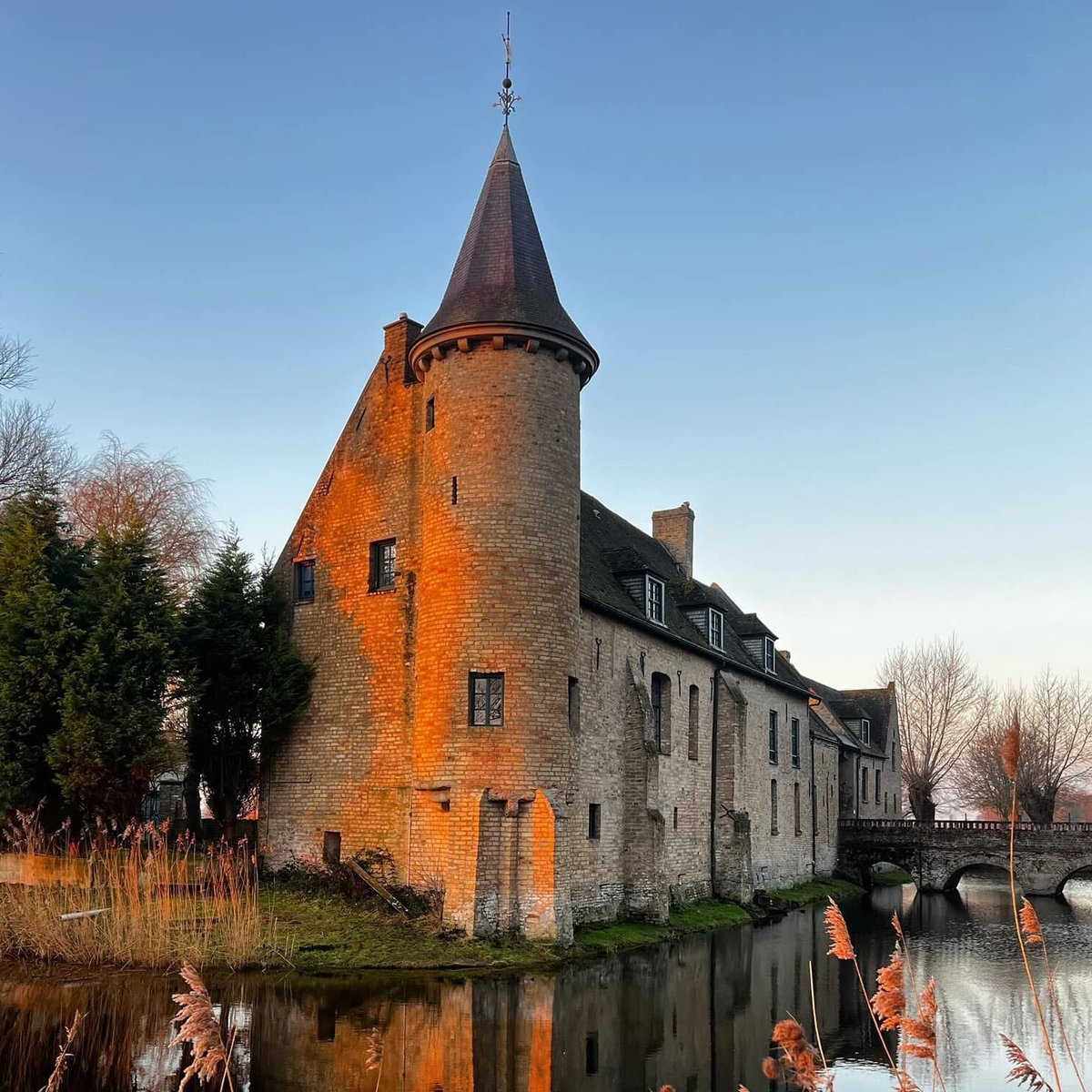 HISTOIRE | LE WITHOF