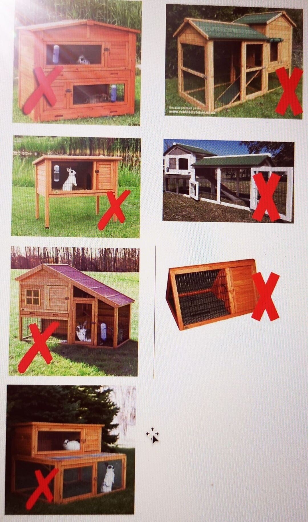 Informative Information / Help and Advice | Small Critter Rescue Somersert