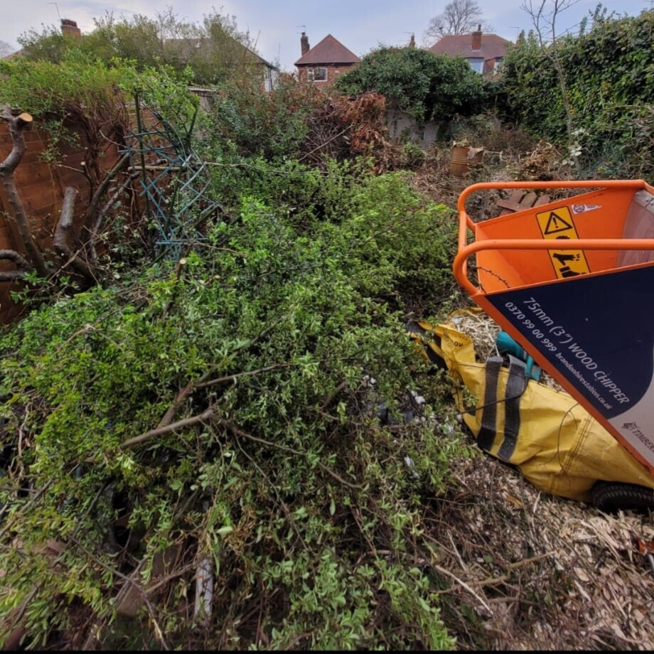 Gallery | Waste Busters Hull