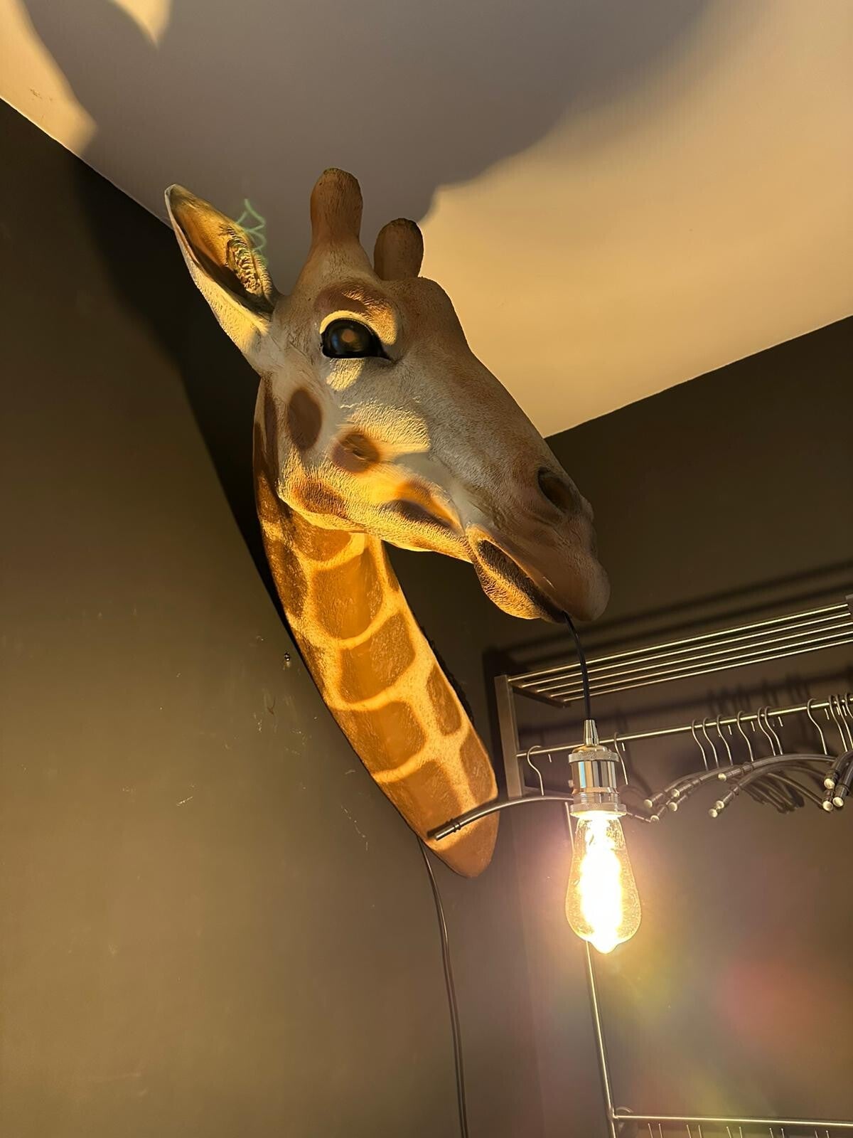 Giraffe Hoofd Wandlamp – Unieke Eyecatcher voor je Interieur | Goodyz Deco