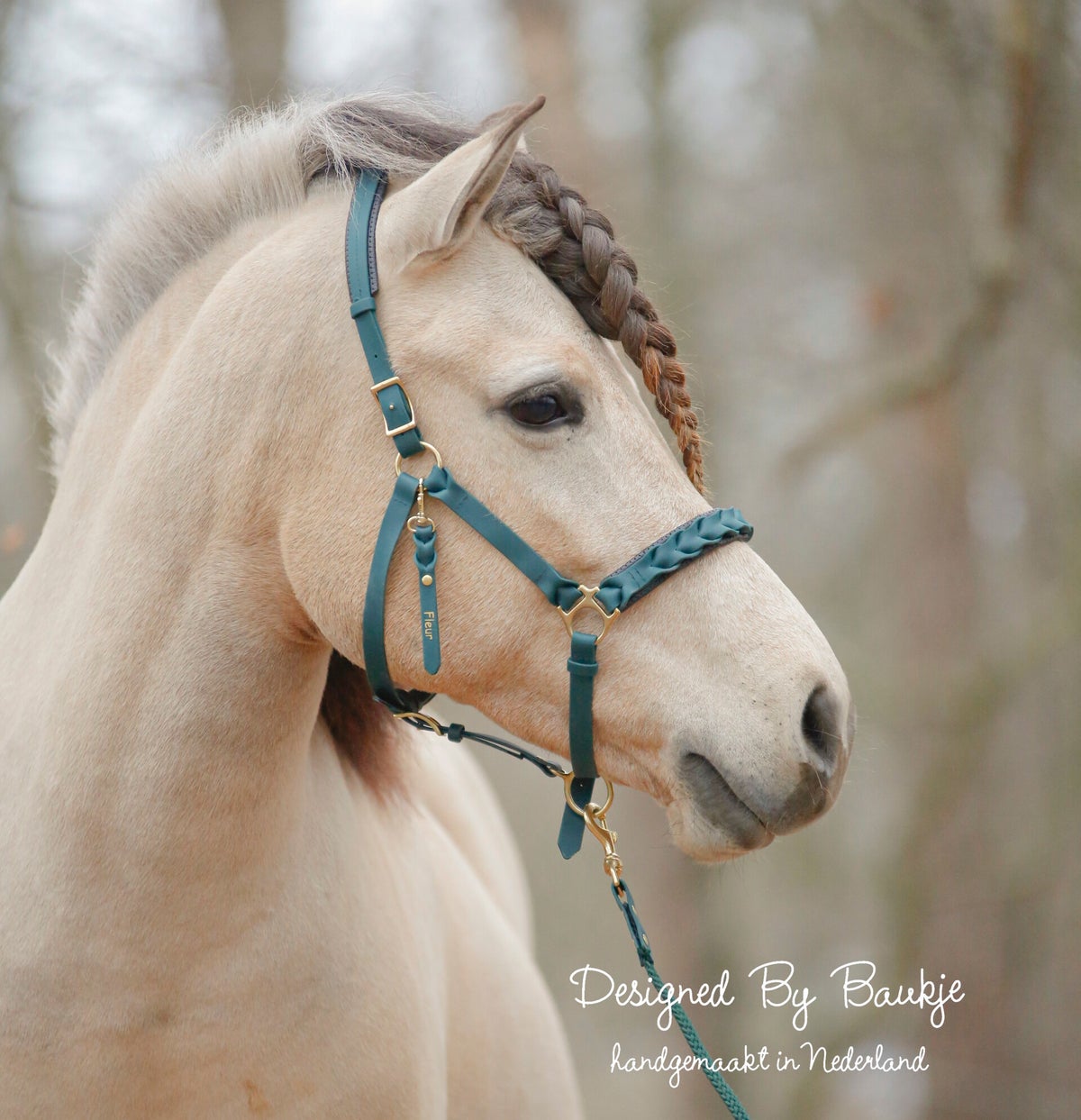 BioThane® - Donkergroen - GN522 / Kleuren en Inspiratie / Paarden | By ...