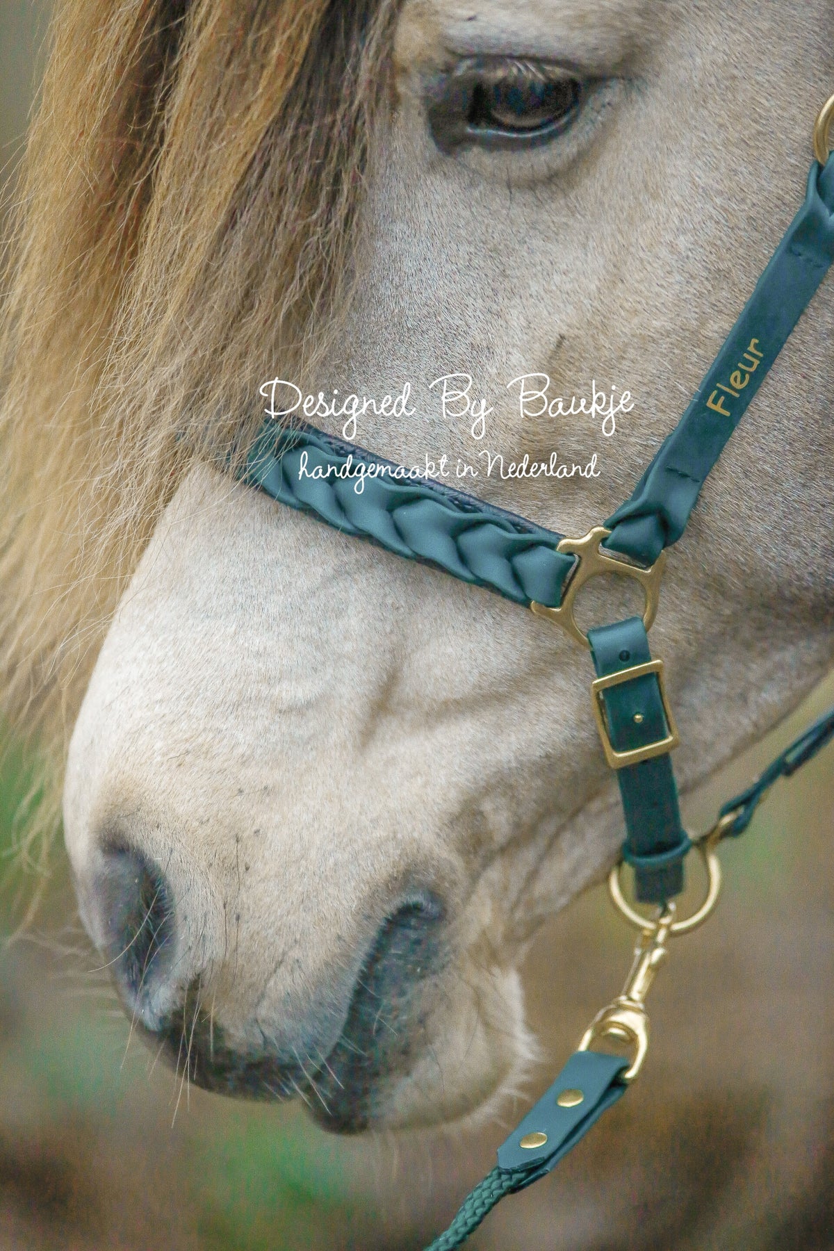 BioThane® - Donkergroen - GN522 / Kleuren en Inspiratie / Paarden | By ...