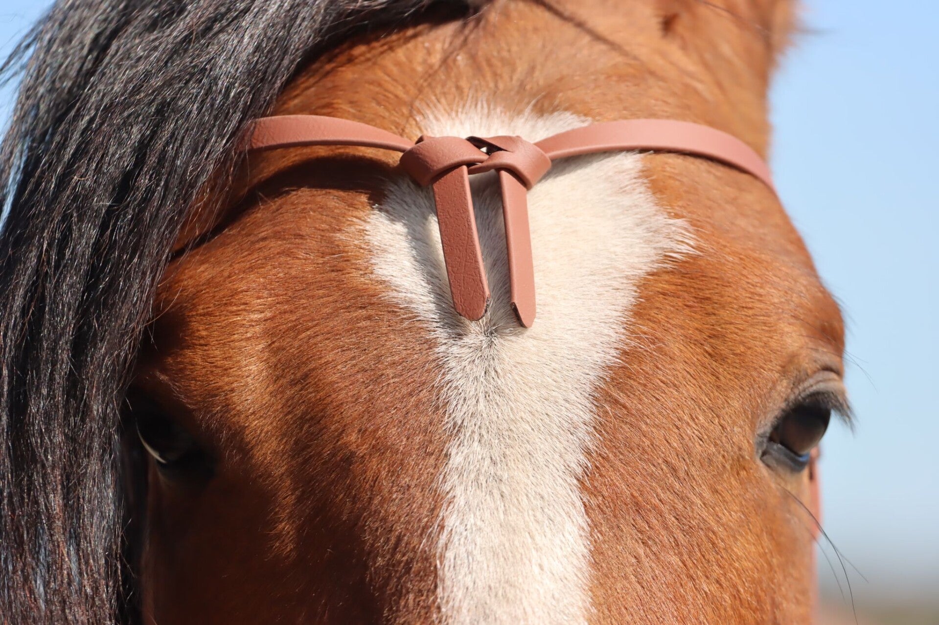 BioThane® - Roodbruin - BR522 / Kleuren en Inspiratie / Paarden | By Baukje