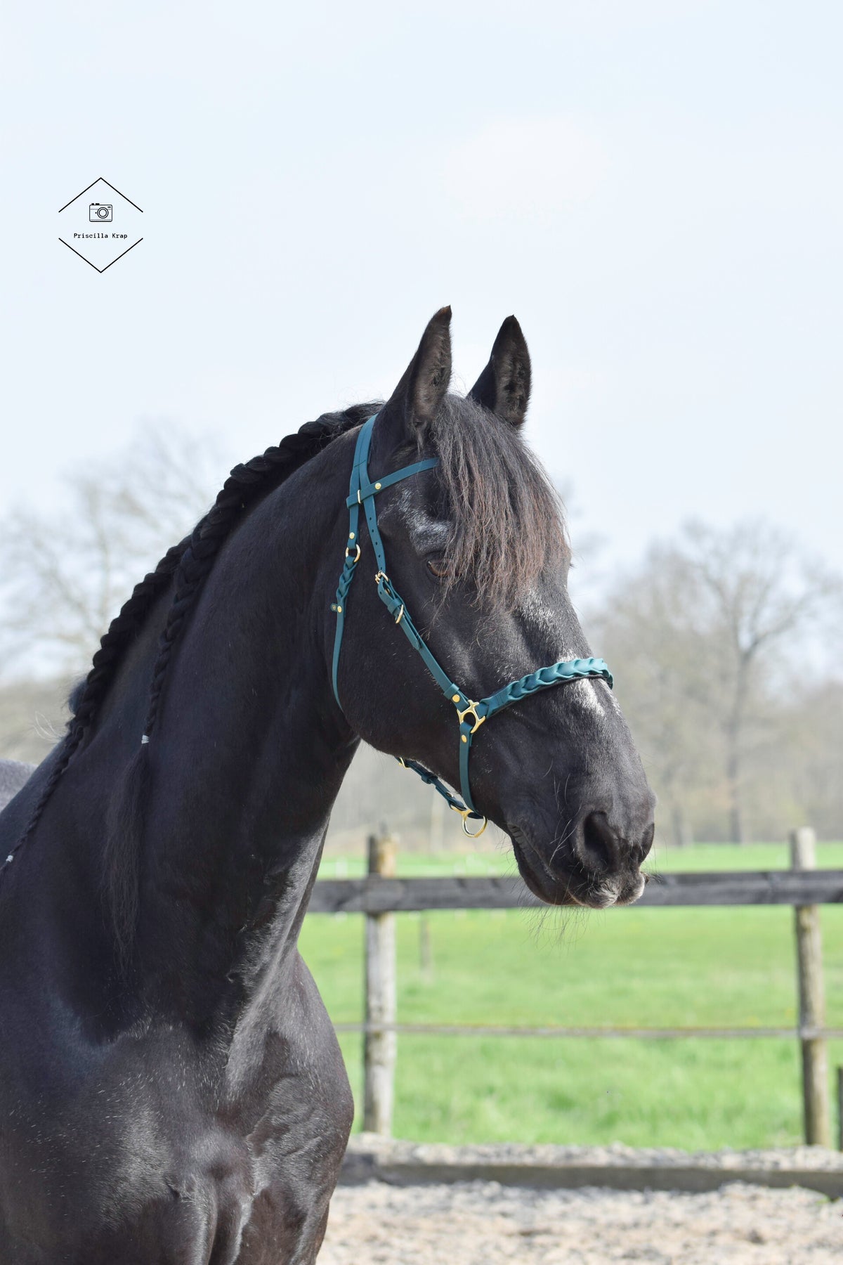 BioThane® - Donkergroen - GN522 / Kleuren en Inspiratie / Paarden | By ...