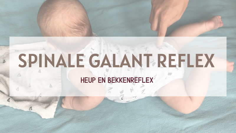 Spinale Galant Reflex / Blog | Reflexen in beweging
