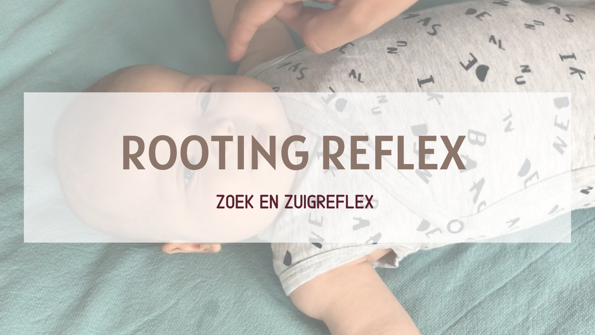 Zoek Reflex / Blog | Reflexen in beweging