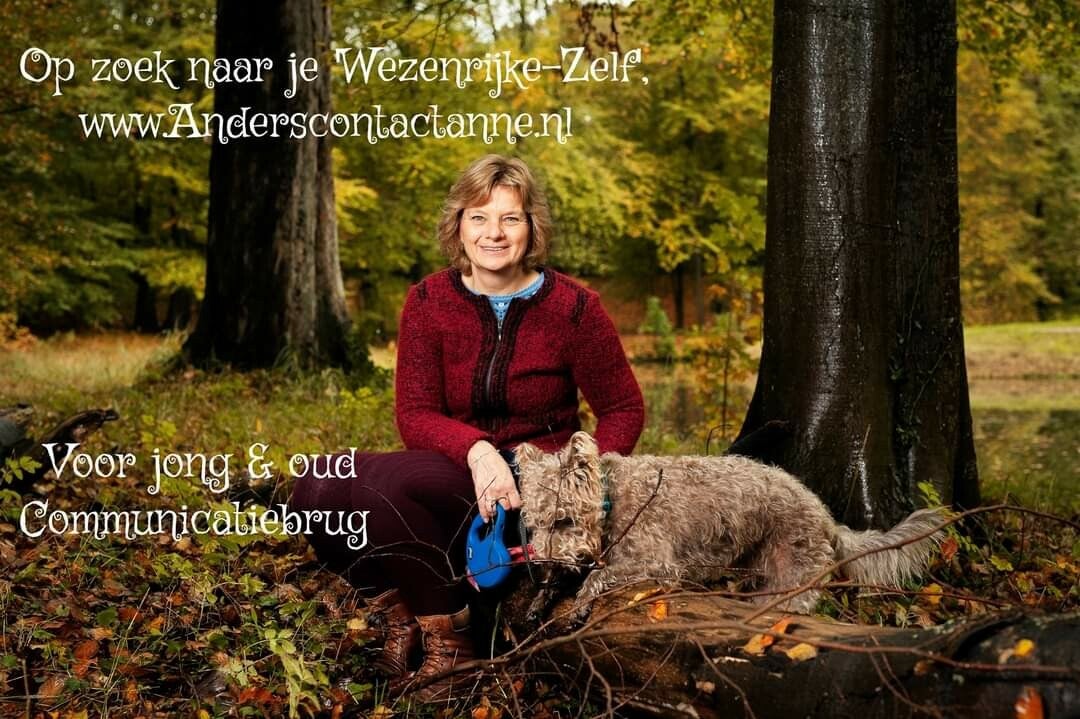 Hoge frequentie Apparaten MWO | Anders contact Anne.nl