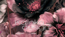 Startseite / Kalinka design