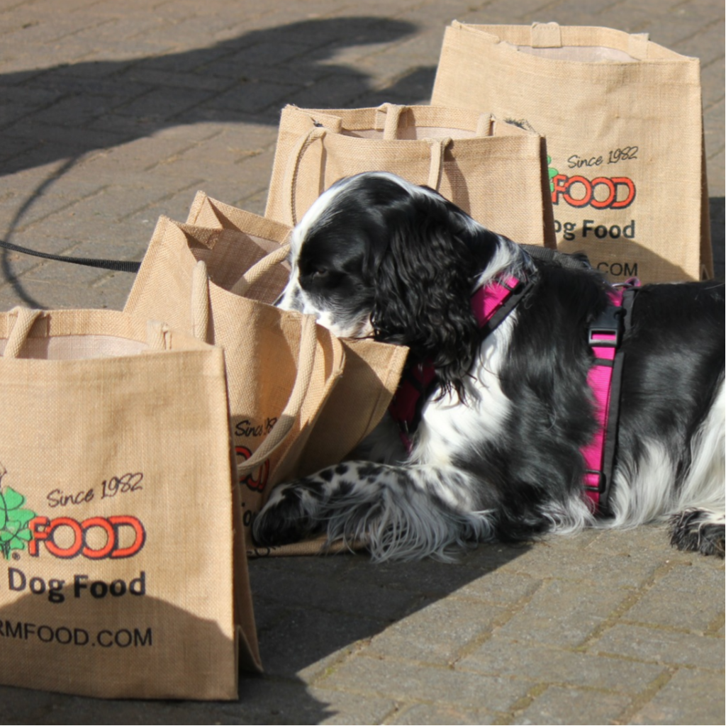 Welkom bij Dog Choice Training en Coaching