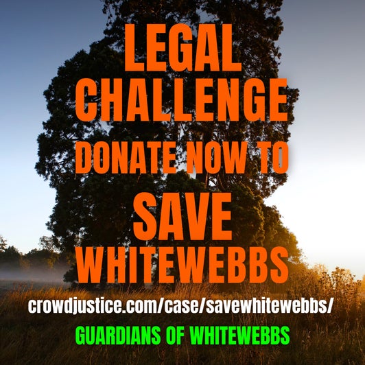 Guardians of Whitewebbs