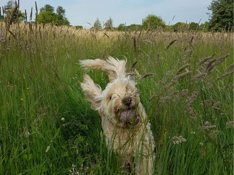 Gallery | Avid Beats