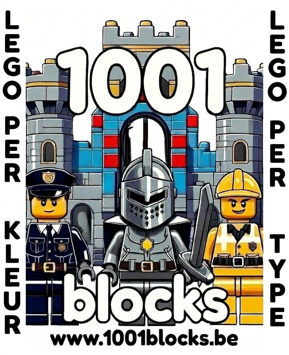 1001blocks