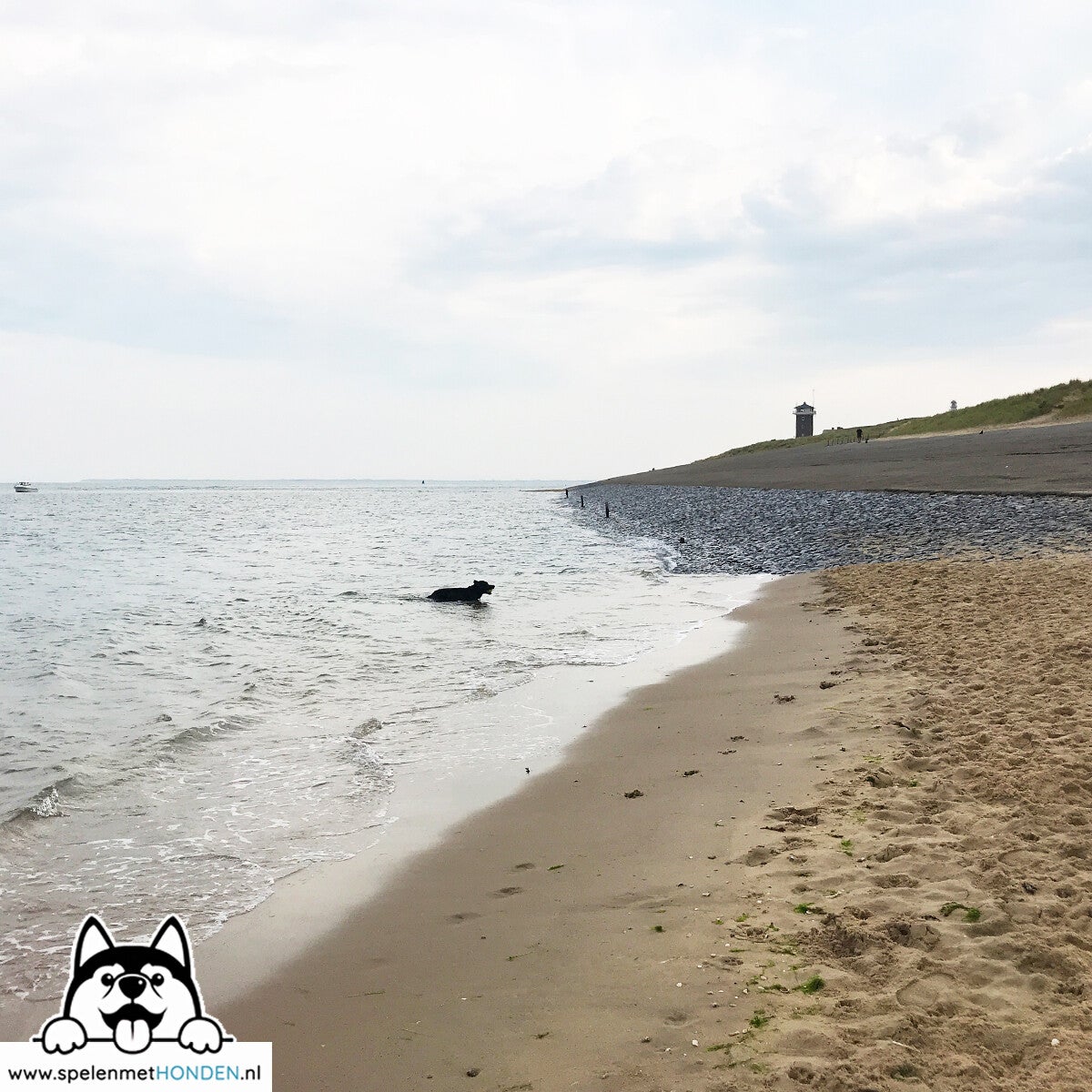 Losloopgebied Strandslag Huisduinen | Den Helder Noord-Holland ...