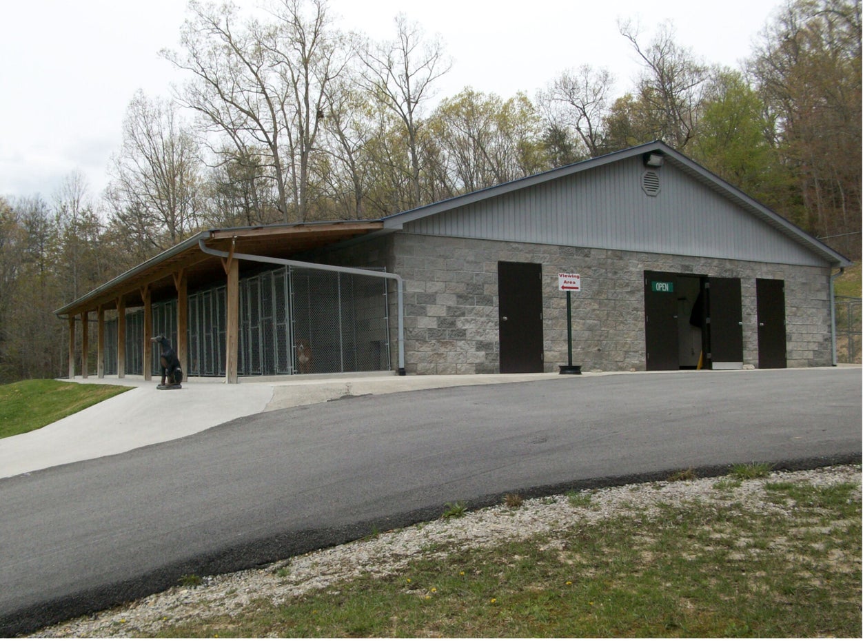 Protesters Demand Reform at Rockcastle County Animal Shelter as State ...
