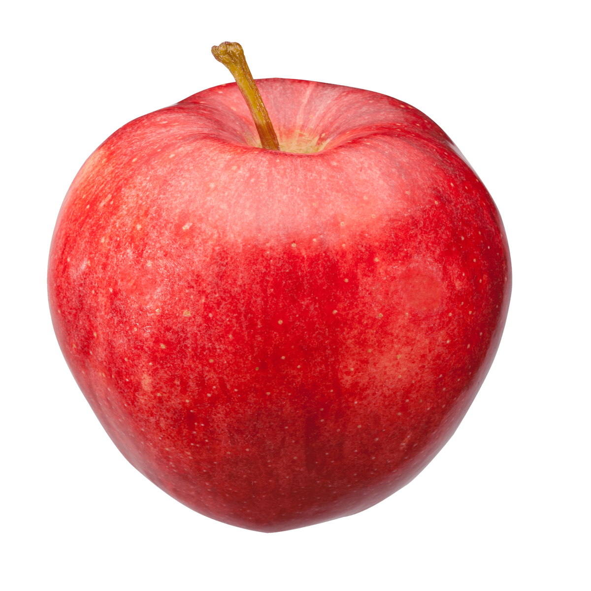 Michigan Apple Varieties: Complete 2025 Harvest Guide & Chart
