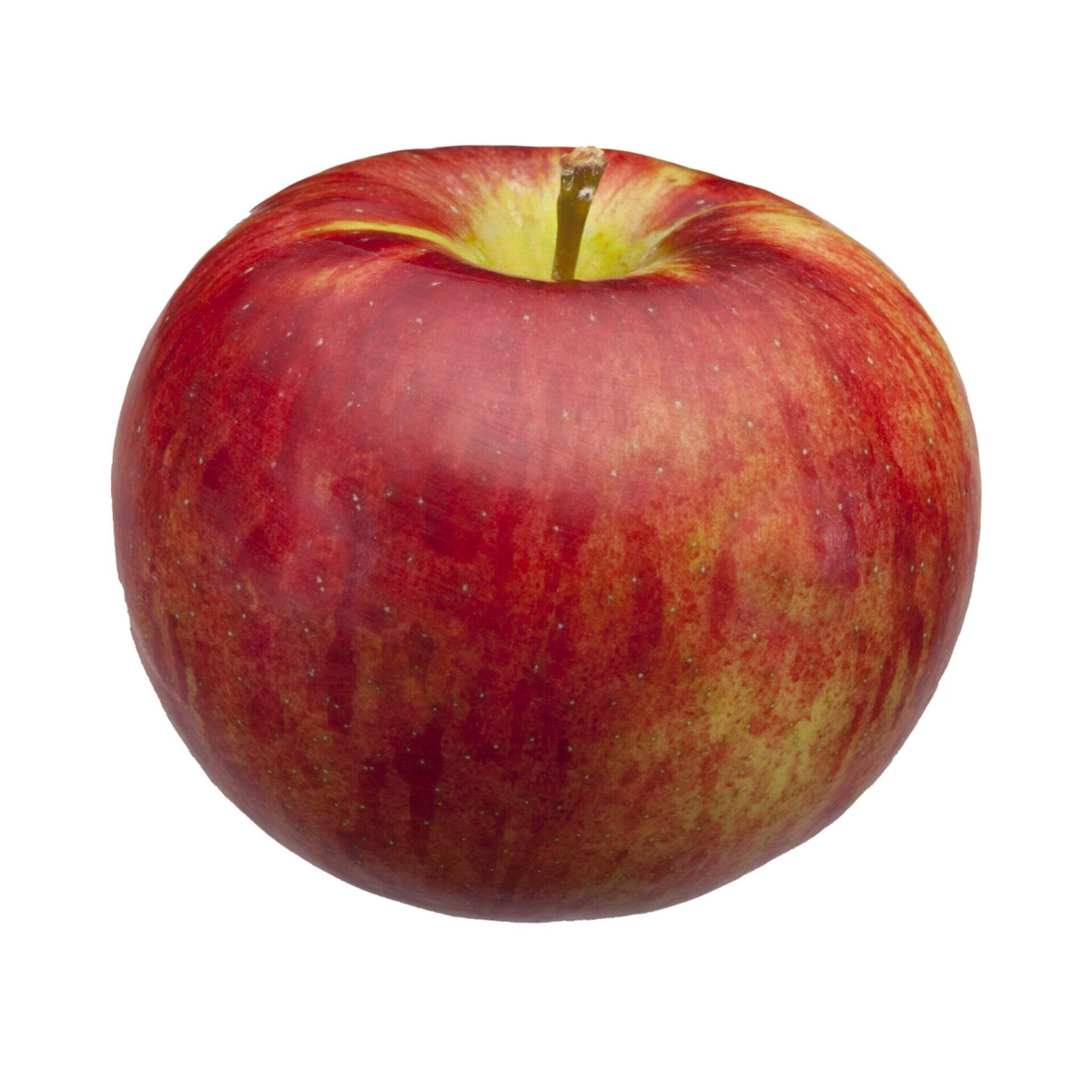 Michigan Apple Varieties: Complete 2025 Harvest Guide & Chart