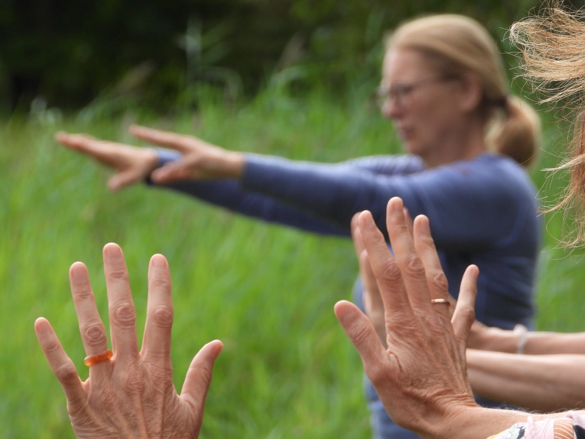 Lessen | Tai chi en Qigong praktijk Alles-is-Chi