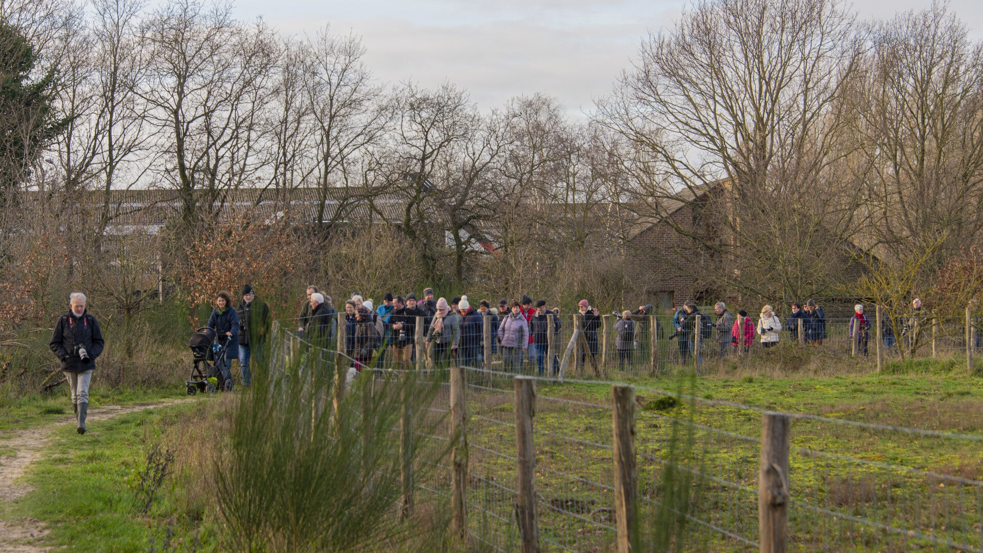 Hoge Dijken jan 20 / 2020 / Archiefbeelden / Fotogalerij | WVFD vzw