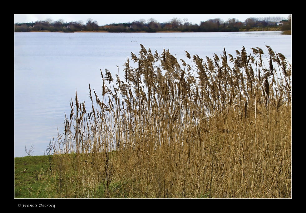 Hoge Dijken jan 20 / 2020 / Archiefbeelden / Fotogalerij | WVFD vzw