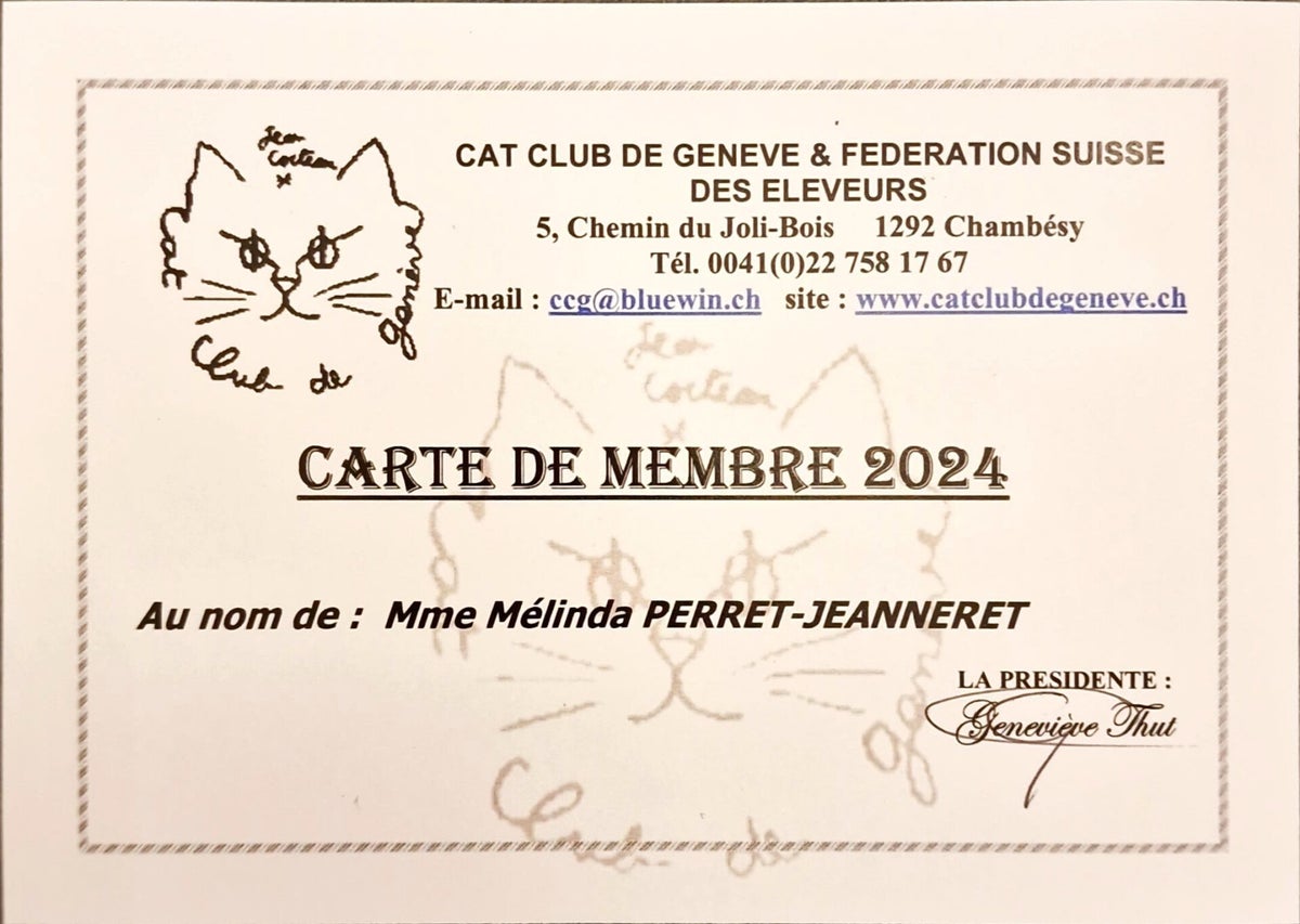 Nous rejoignons dès aujourd'hui le Cat Club de Genève / News | Félin d ...