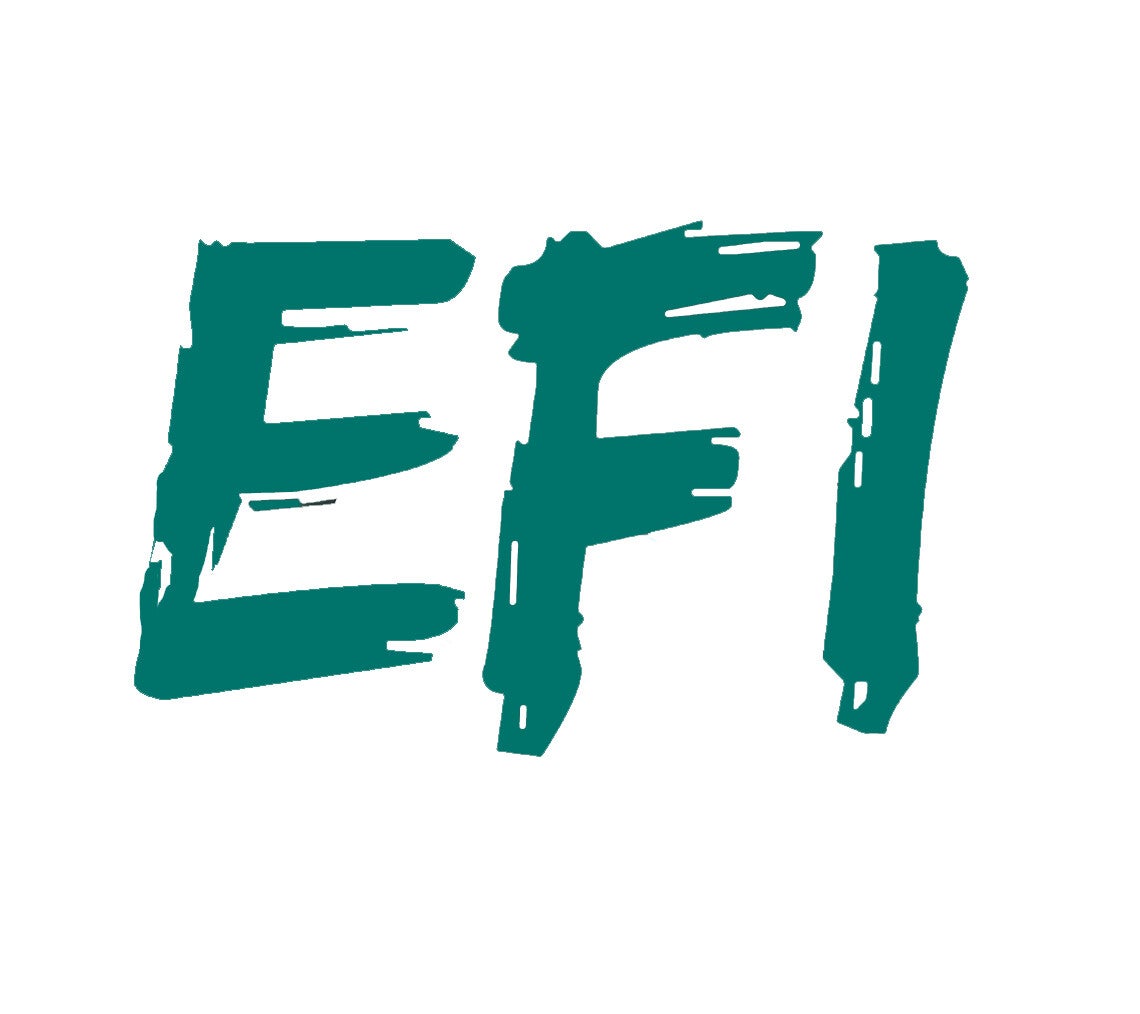 Evangelical Fellowship of Ireland