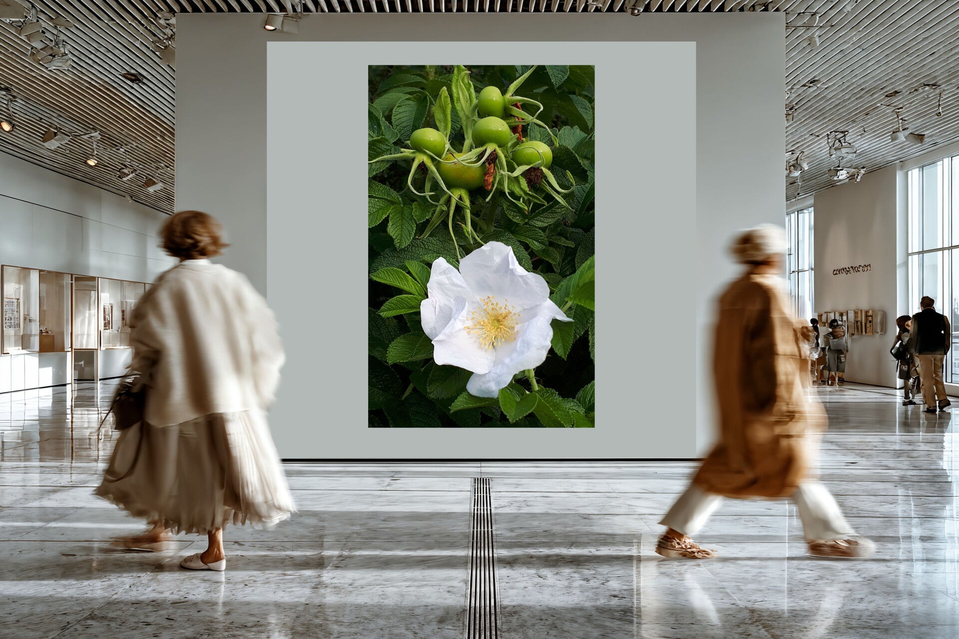 Photography Gallery | Maria Murphy Art
