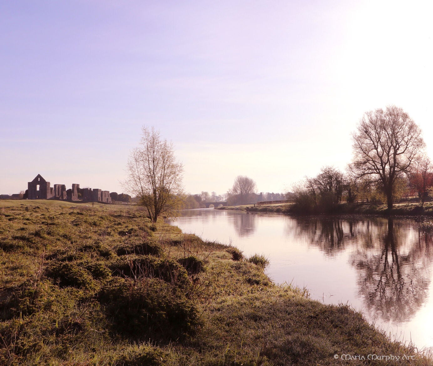 Photography Gallery | Maria Murphy Art