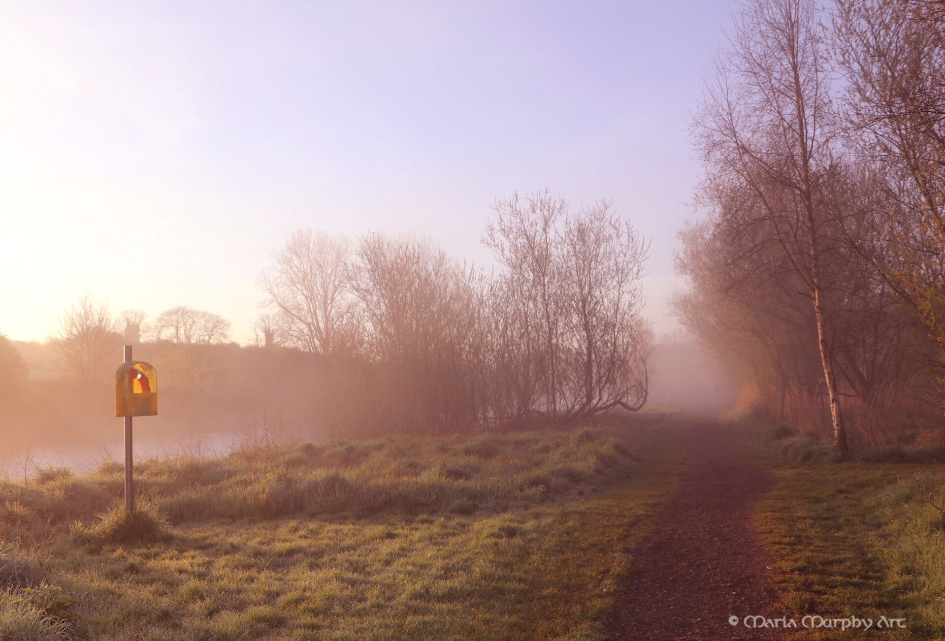 Photography Gallery | Maria Murphy Art