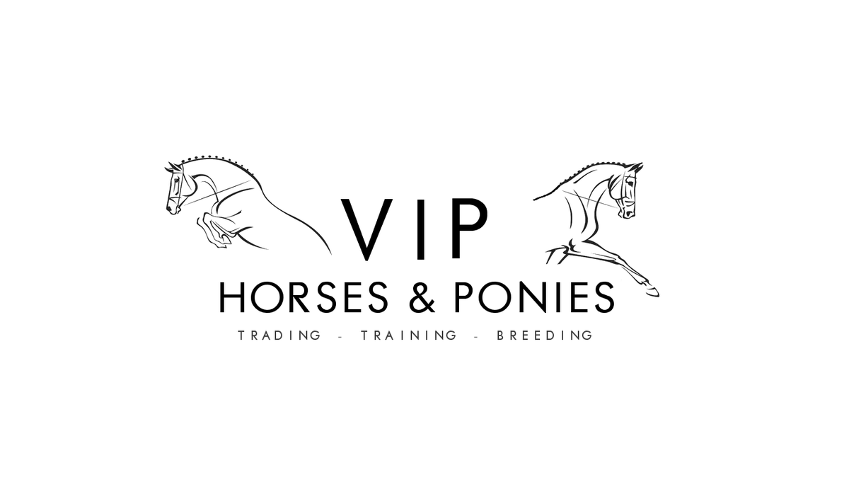 VIP Horses & Ponies
