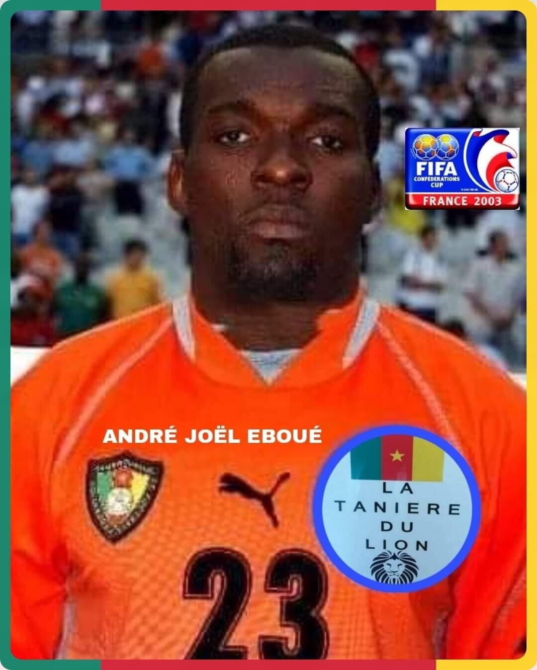 EFFECTIFS CDM 2010 AFSUD | LA TANIERE DU LION