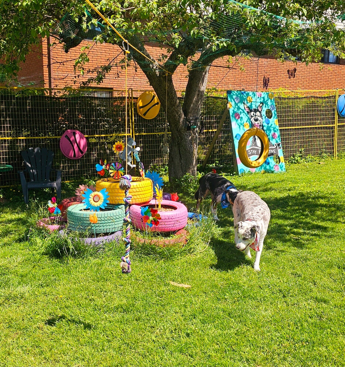 The Yard