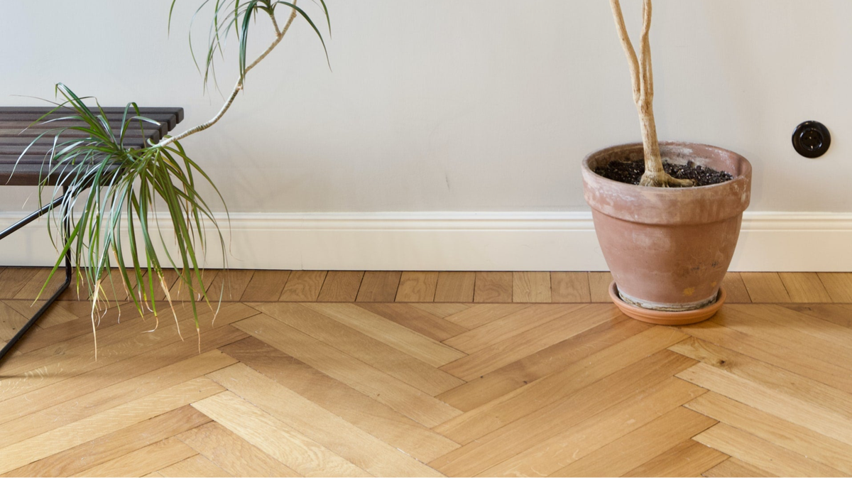 Nos Tarifs | PARQUET RISHKO V