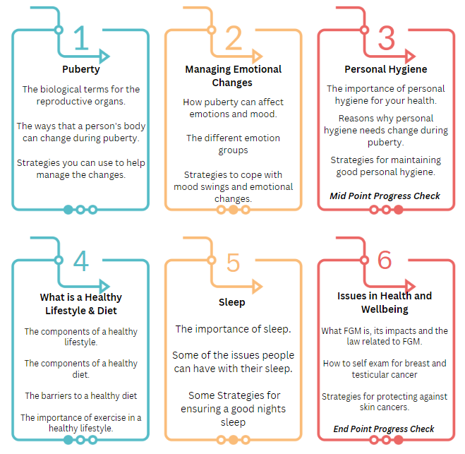 Key Stage 3 Individual Units of Work / PSHE Shop / Resource Shop ...