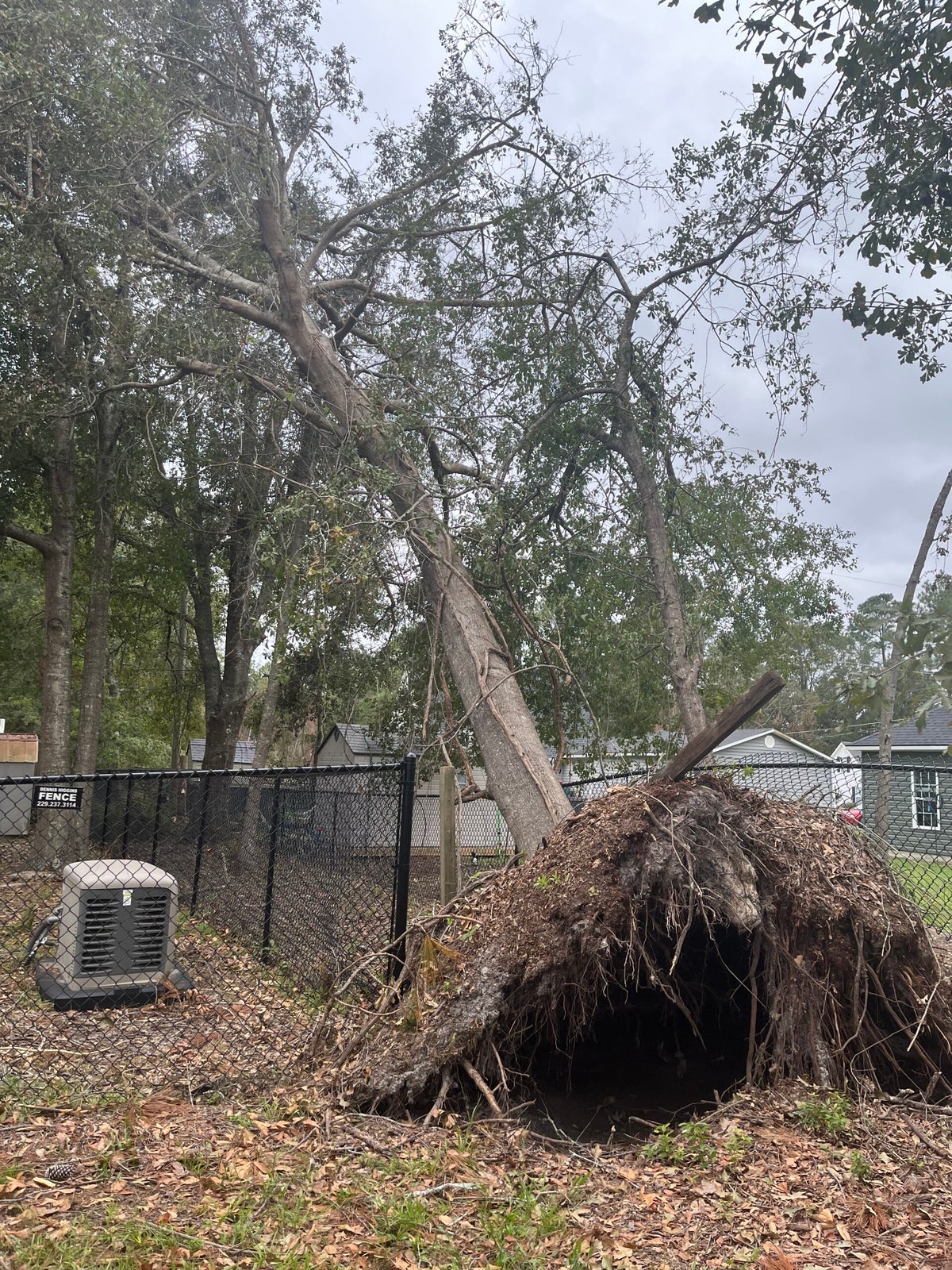 Veteran Owned Tree Service Experts in Valdosta